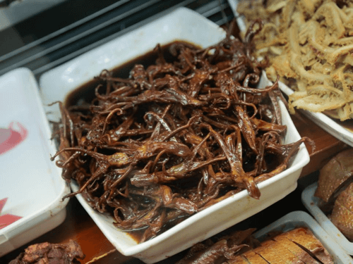 Bizarre Foods: Delicacy or Weird, Daring Fad?