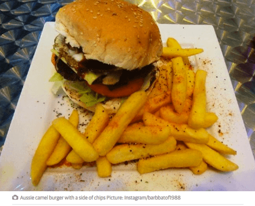 Weird, Whacky and Wonderful Dishes